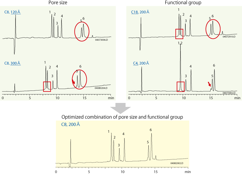 Tips for optimization of peptide separation by reversed-phase | YMC CO ...