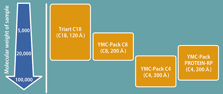 Tips for optimization of peptide separation by reversed-phase | YMC CO ...